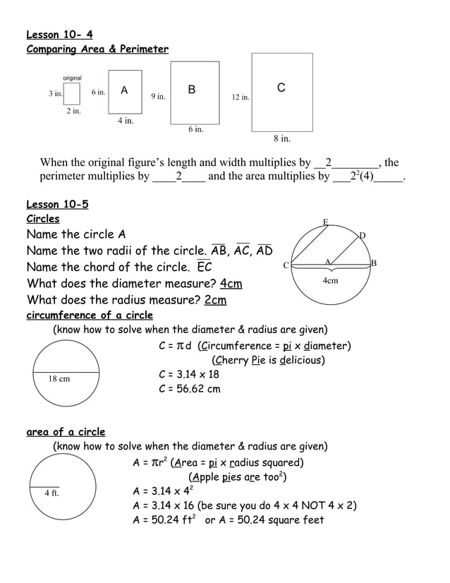 Ch 10 study guide | PDF