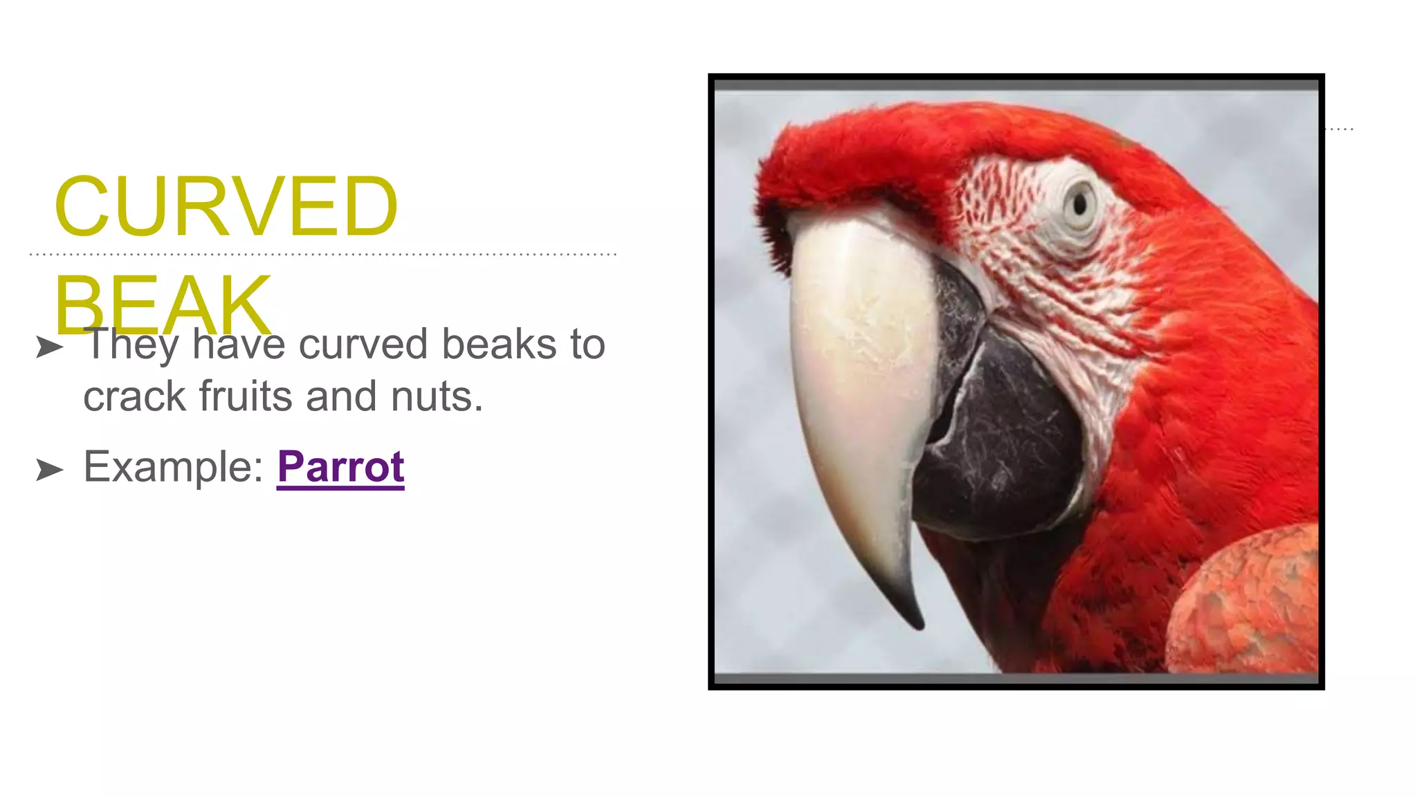 Ch 10 tasting BEAKS.pptx