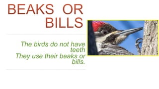 Ch 10 tasting BEAKS.pptx