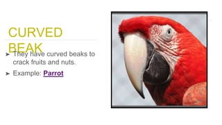 Ch 10 tasting BEAKS.pptx