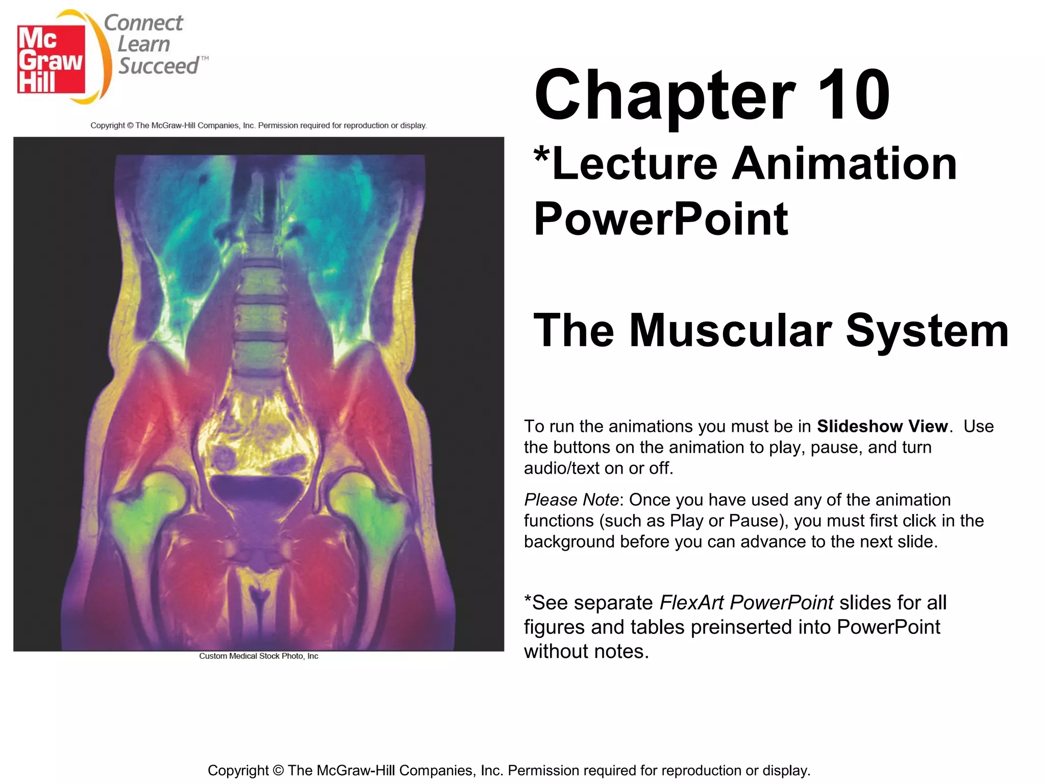 Ch 10 The Muscular System | PPT