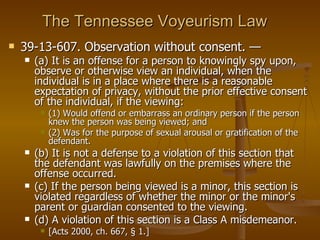 Ch 10 Vice Crimes | PPT