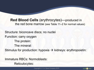 Ch11 - Blood | PPT