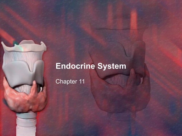 Ch 11 endocrine sys | PPT