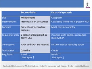 Ch 11B Fatty Acid Synthesis metabolism.pptx