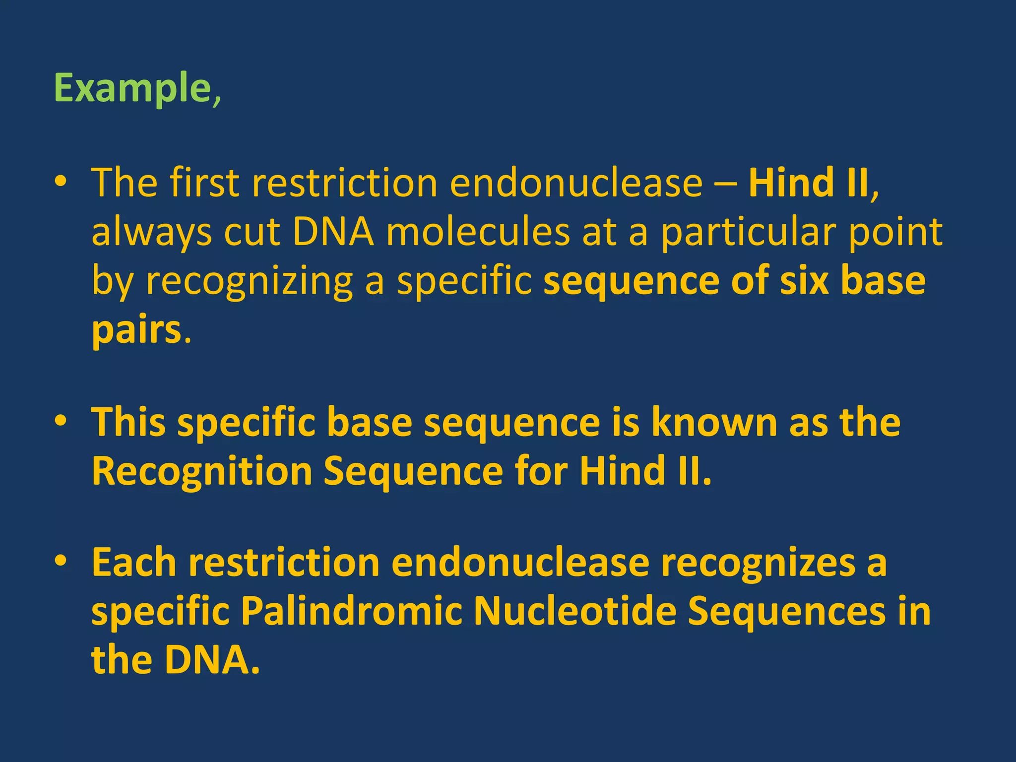 Biotechnology Principles and Processes | PPTX
