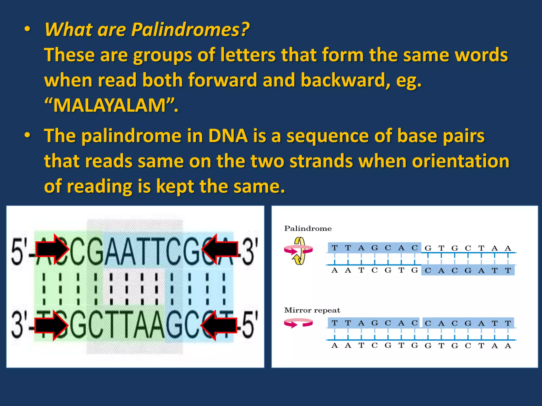 Biotechnology Principles and Processes | PPTX