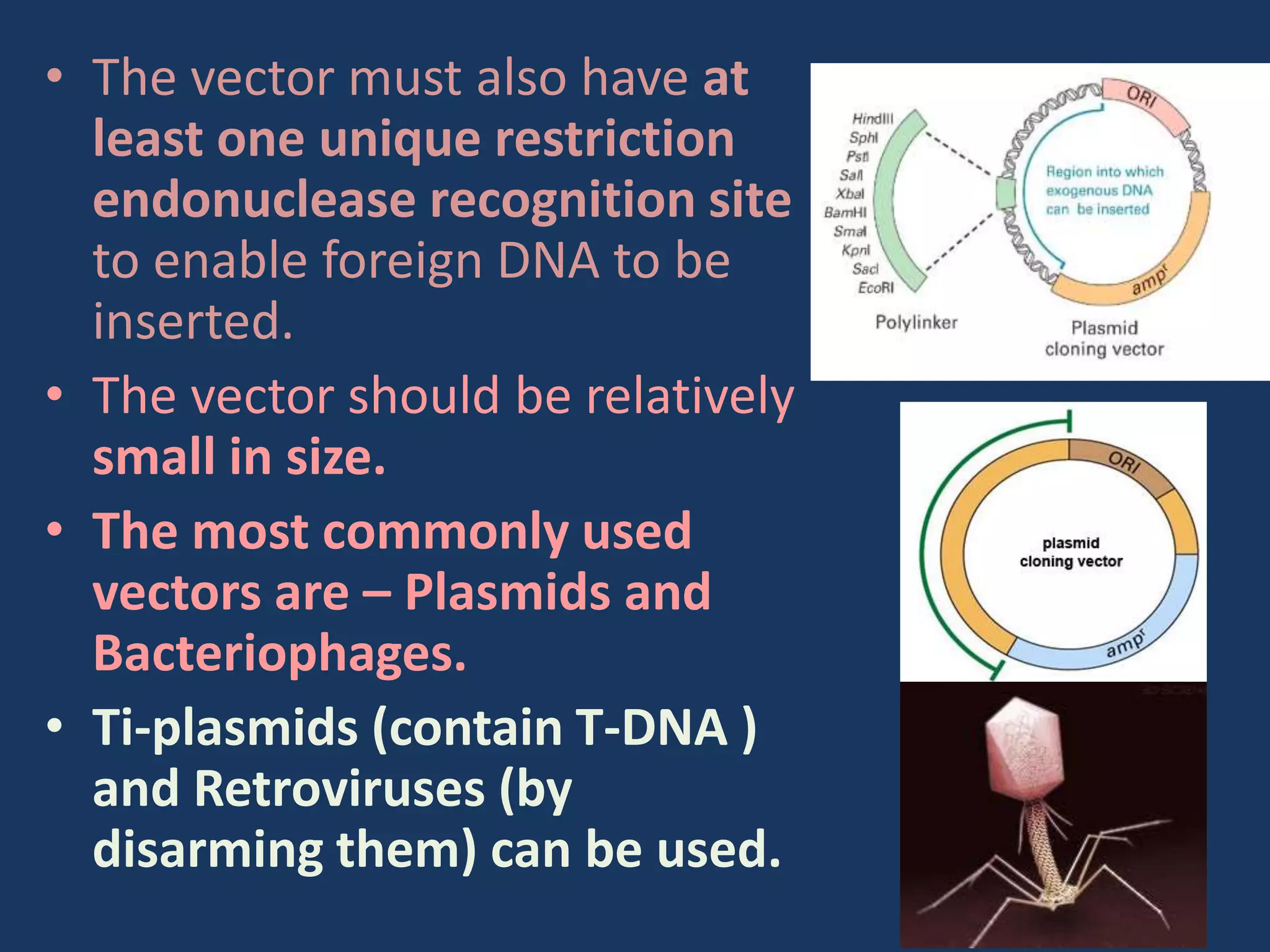 Biotechnology Principles and Processes | PPTX