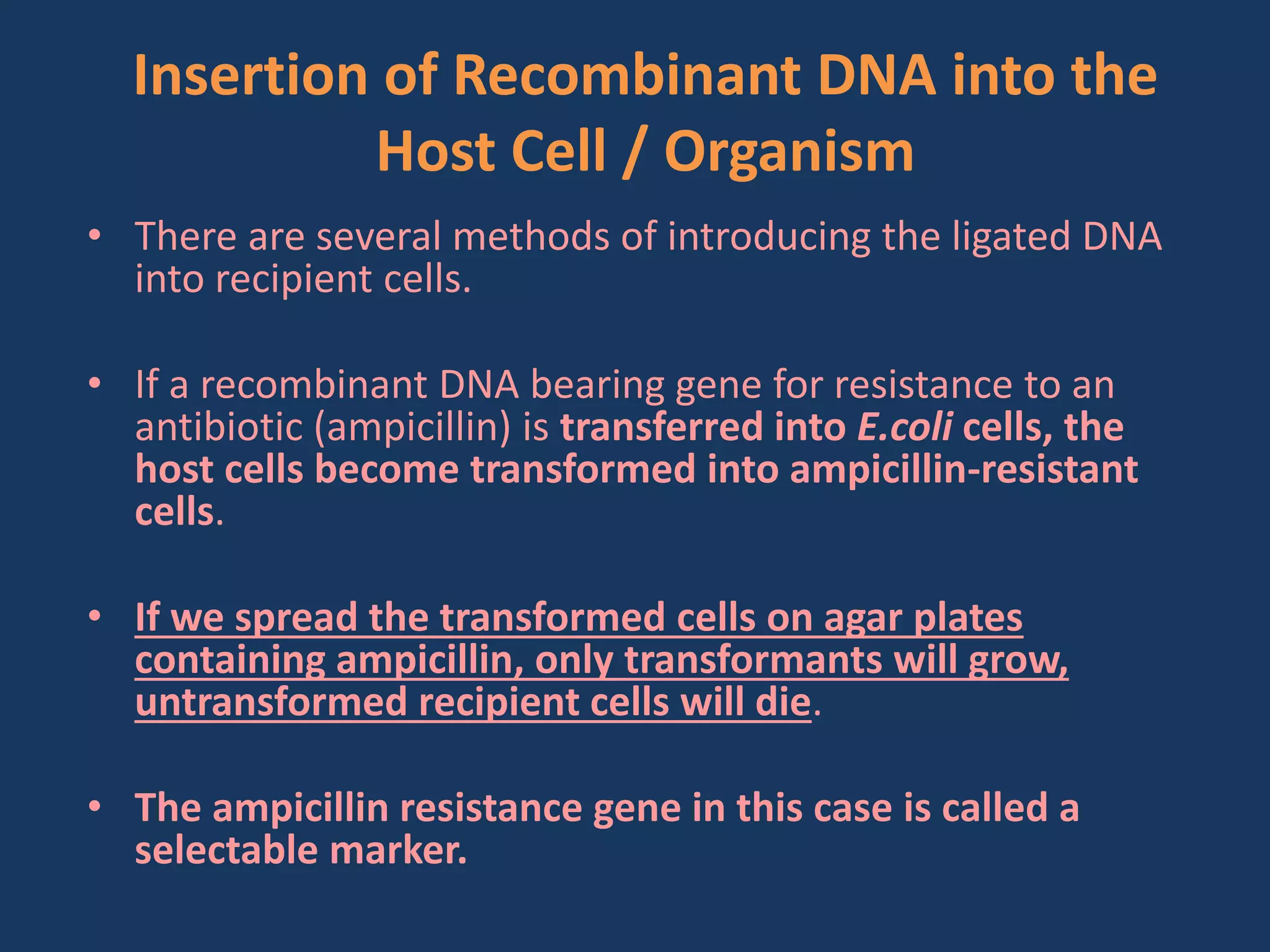 Biotechnology Principles and Processes | PPTX