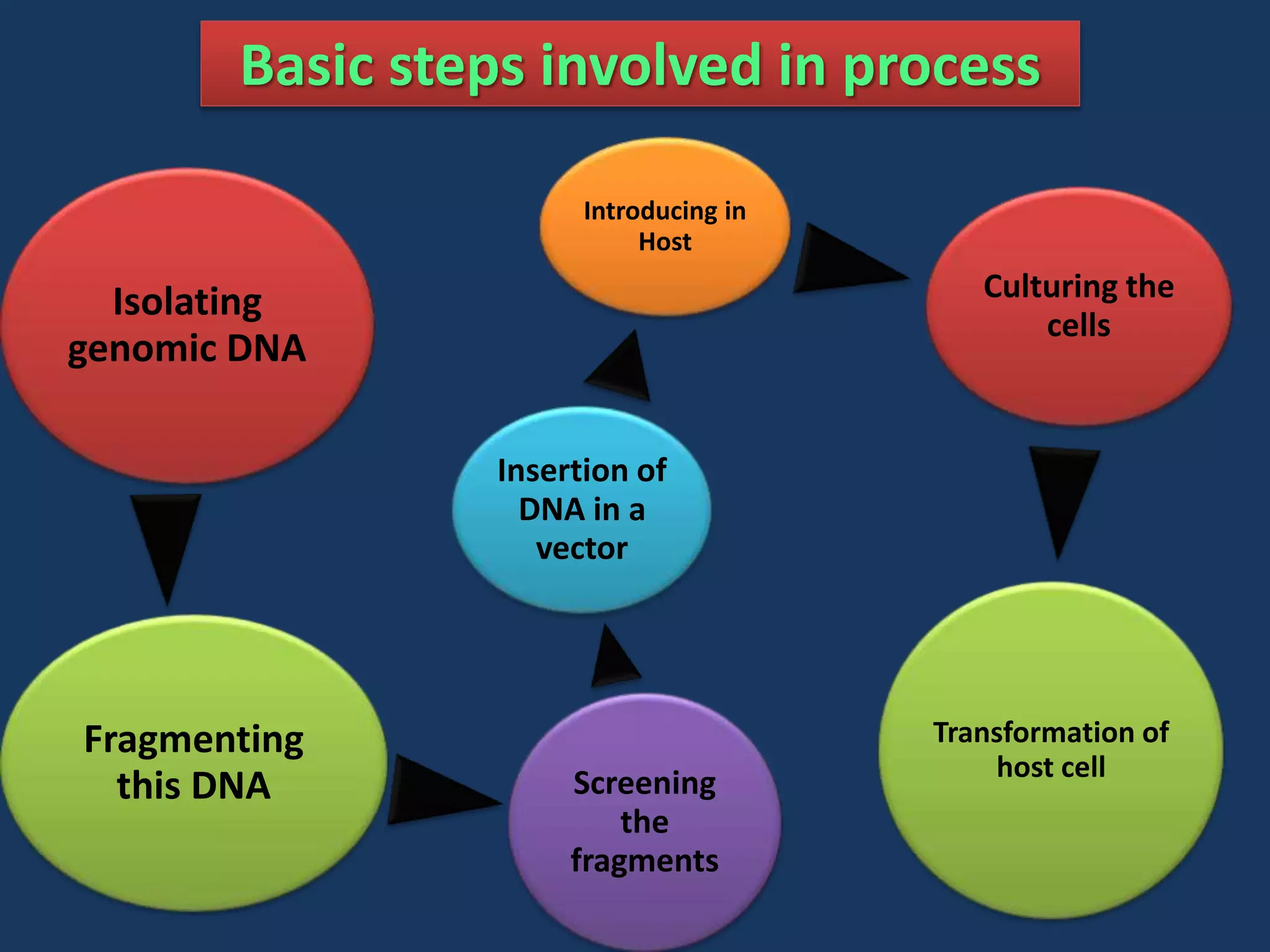 Biotechnology Principles and Processes | PPTX
