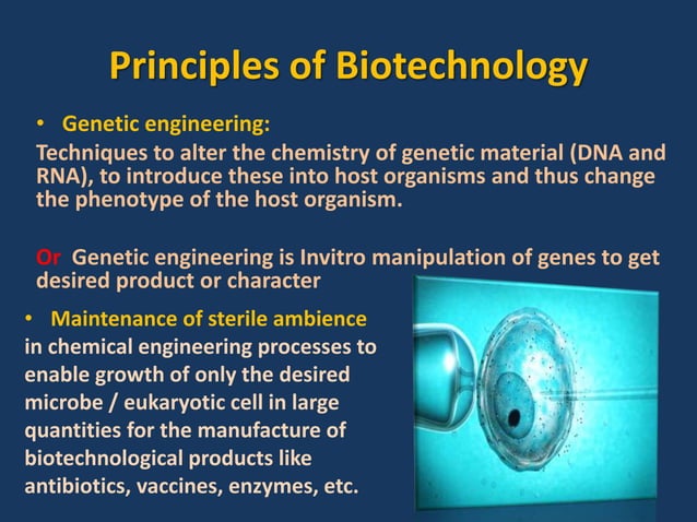 Biotechnology Principles and Processes | PPTX