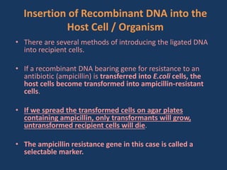 Biotechnology Principles and Processes | PPTX