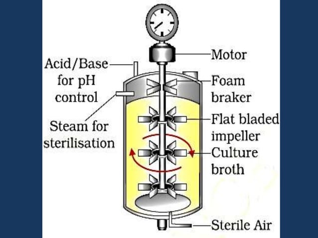 Biotechnology Principles and Processes | PPTX