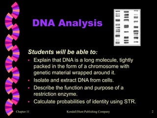DNA Analysis: The capacity to blunder slightly is the real marvel of ...