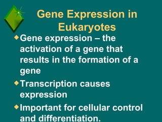 Ch 11 gene expression lecture presentation | PPT