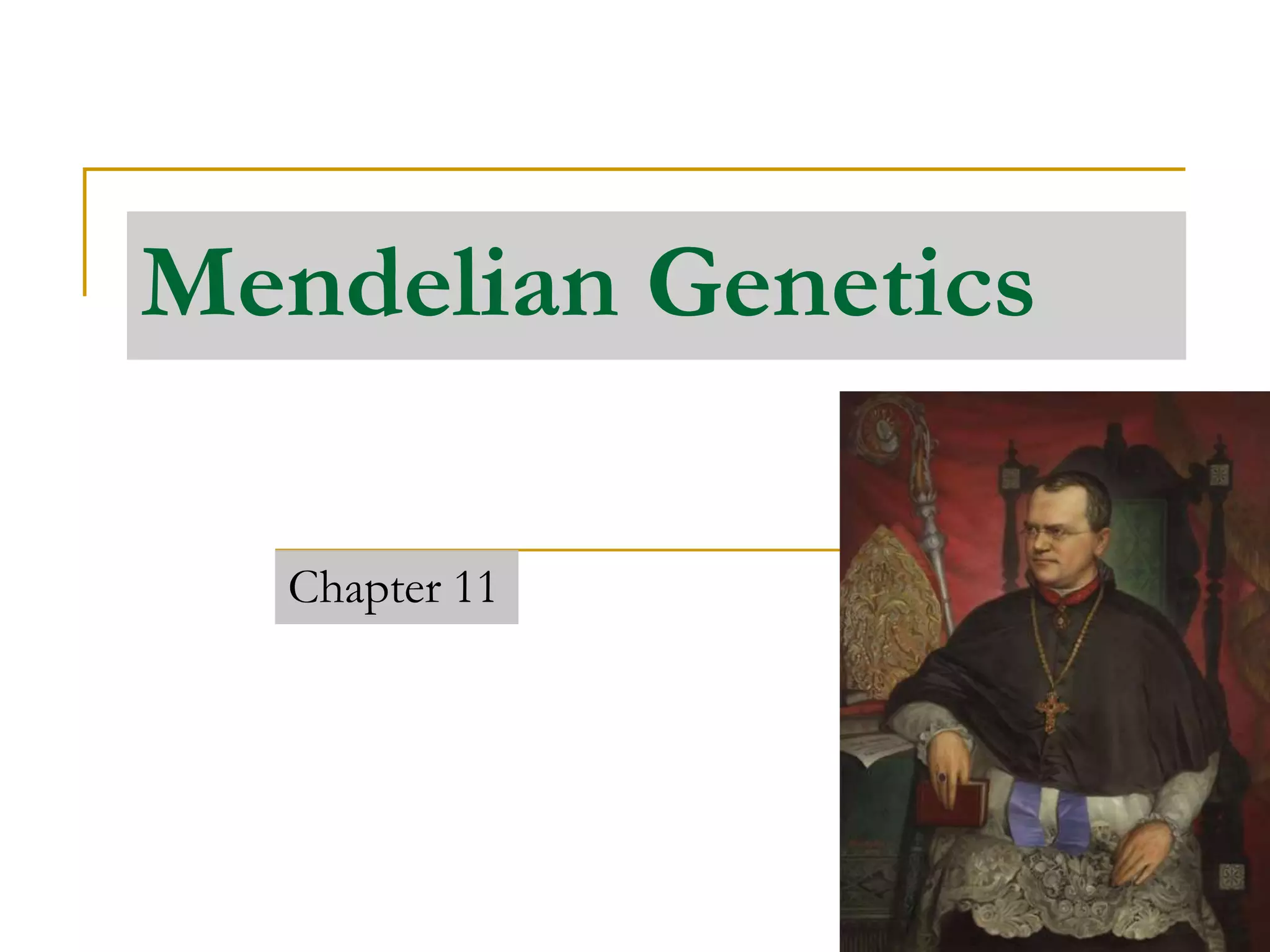Ch 11 intro mendelian genetics sp11 | PPT