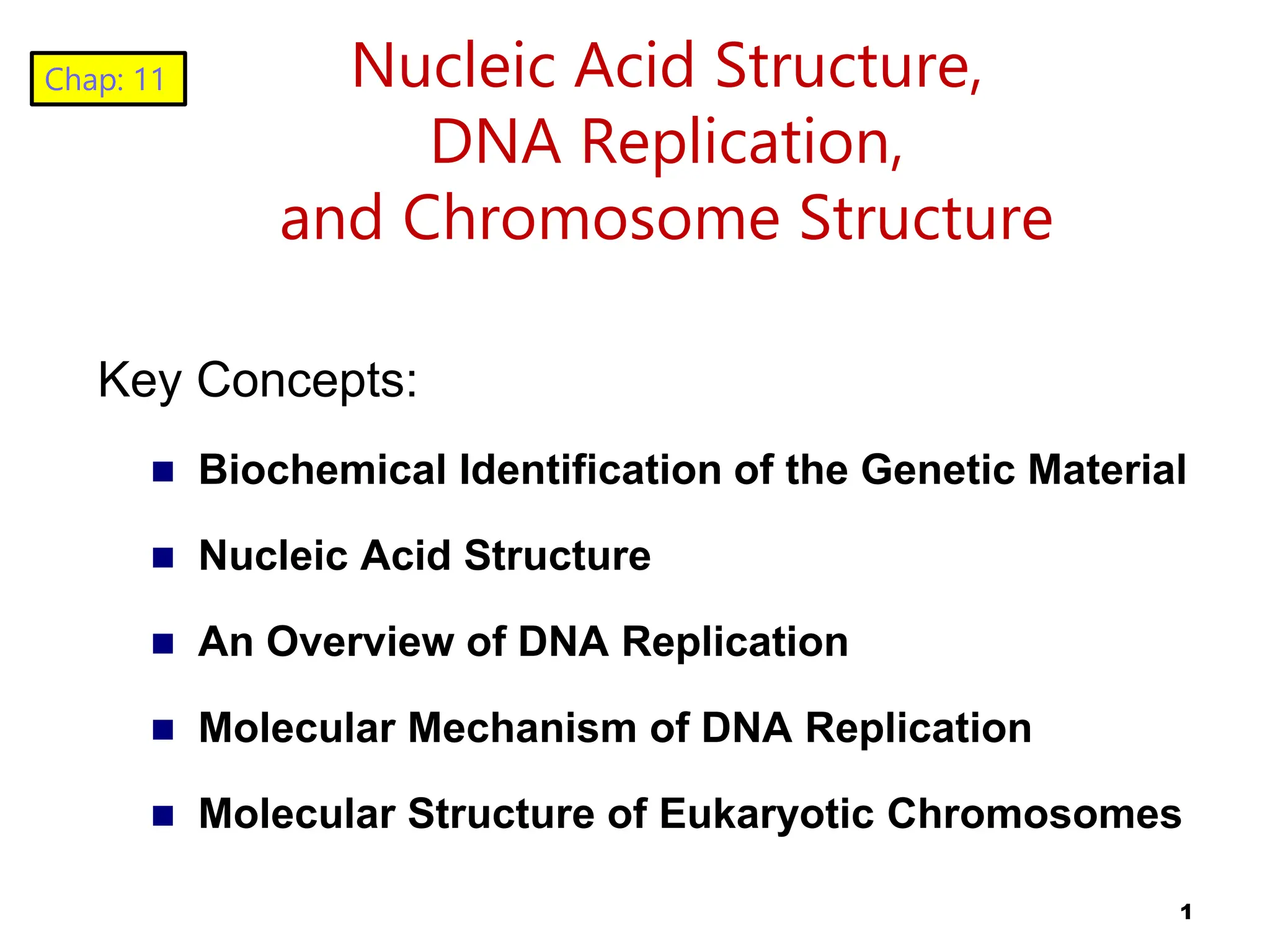 ch11_lecture_ppt REVISED.ppt