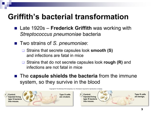 ch11_lecture_ppt REVISED.ppt