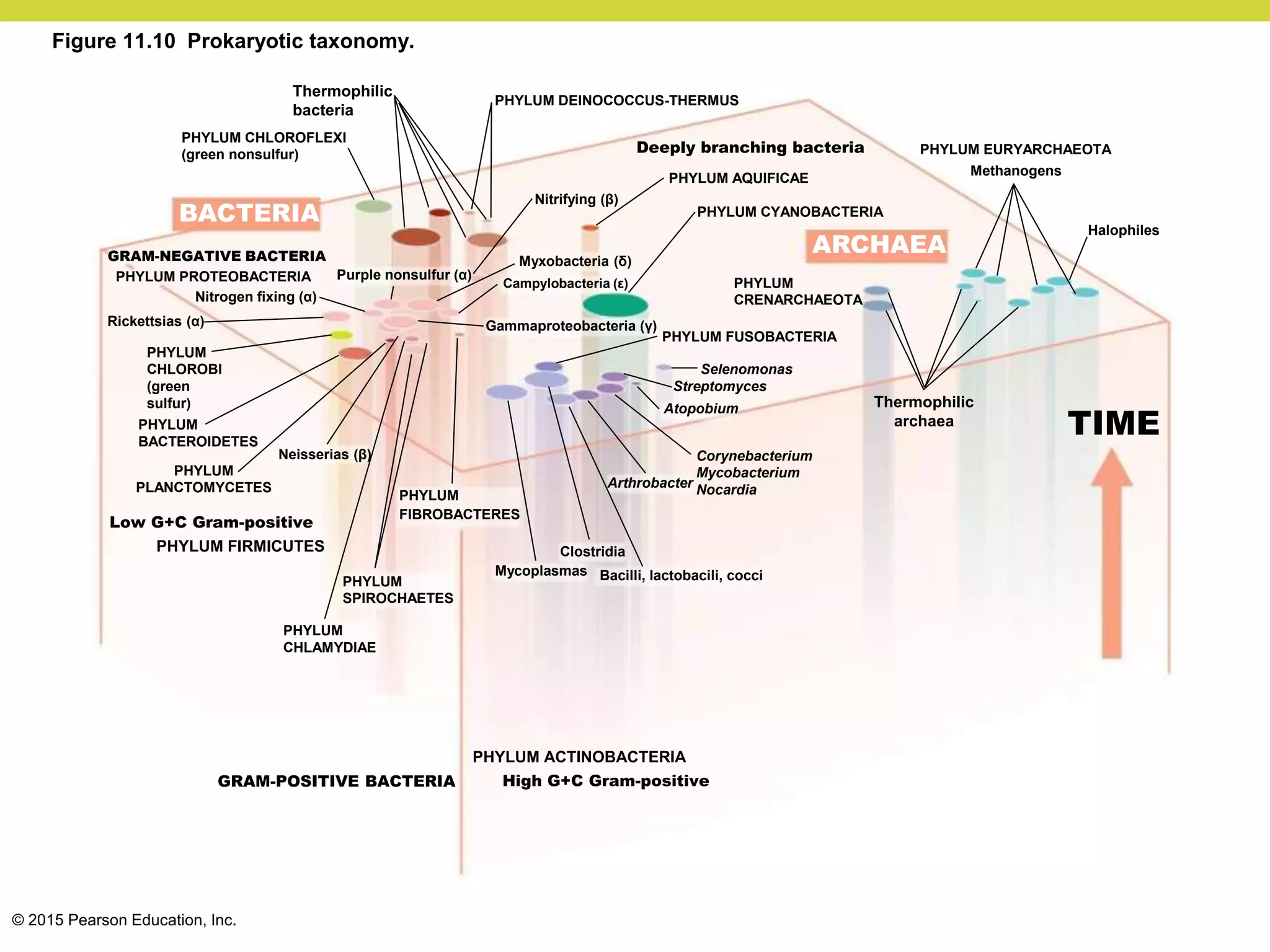 Ch11lecturepresentation 150831183103-lva1-app6892 | PPT