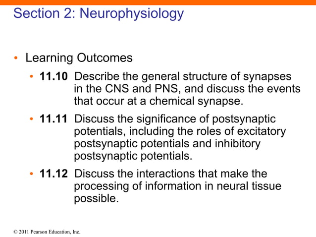 _ch_11_Neural Tissue_lecture_presentation.ppt