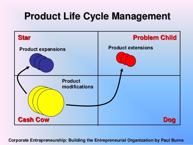 Ch11 Life Cycle And Portfolio Strategies