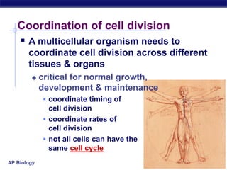 ch 11 mitosis regulation 1112 (1).ppt