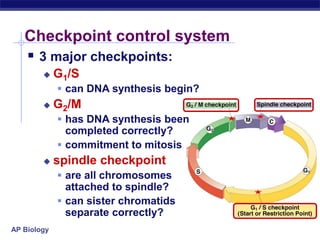 ch 11 mitosis regulation 1112 (1).ppt