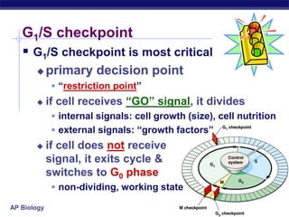 ch 11 mitosis regulation 1112 (1).ppt