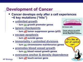 ch 11 mitosis regulation 1112 (1).ppt