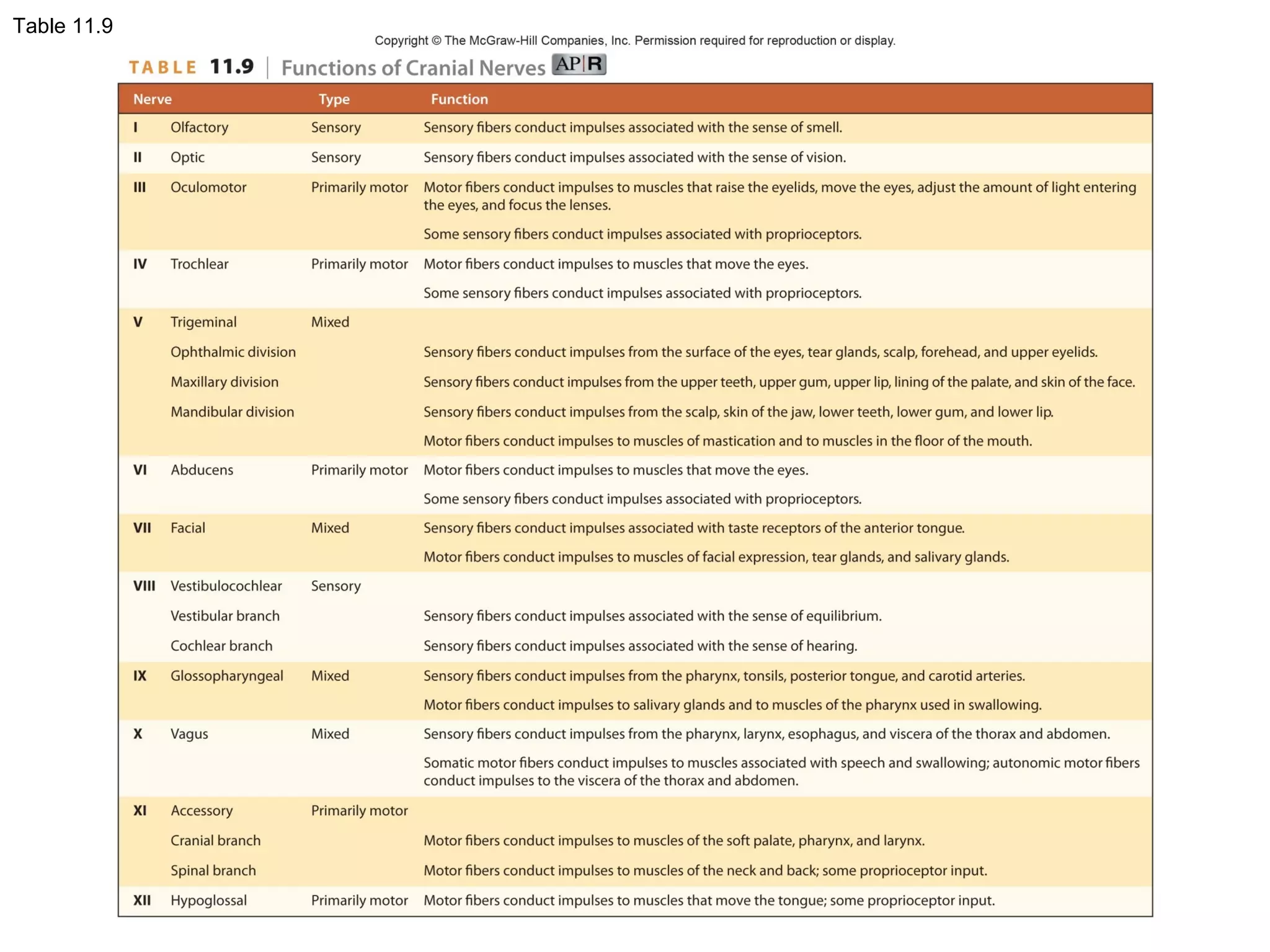 Chapter 11: Nervous System II: Divisions of the Nervous System Hole's ...