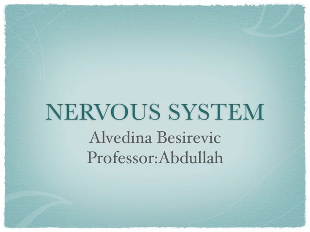 Nervous System Presentation | KEY
