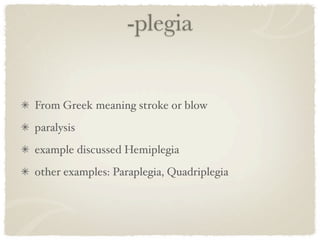 Nervous System Presentation | KEY