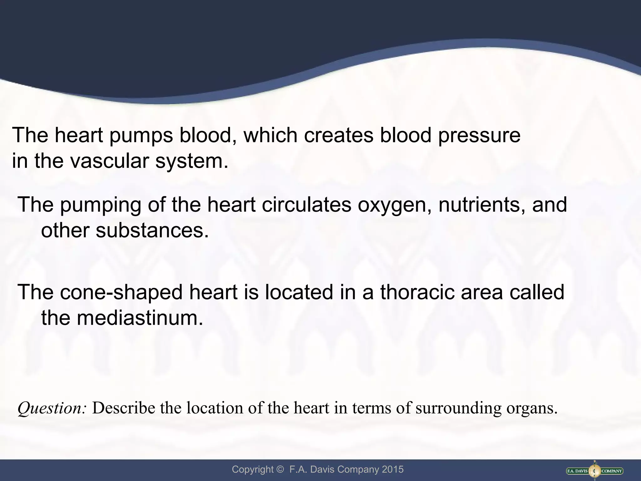Ch12 - Heart | PPT