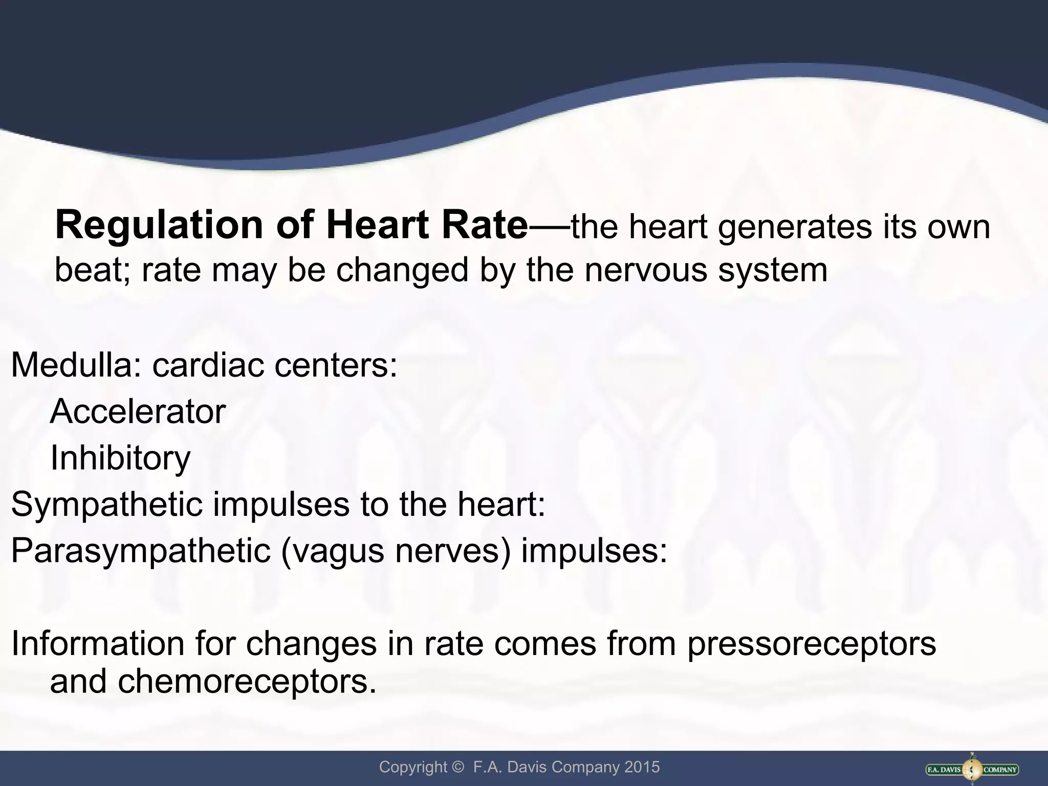 Ch12 - Heart | PPT