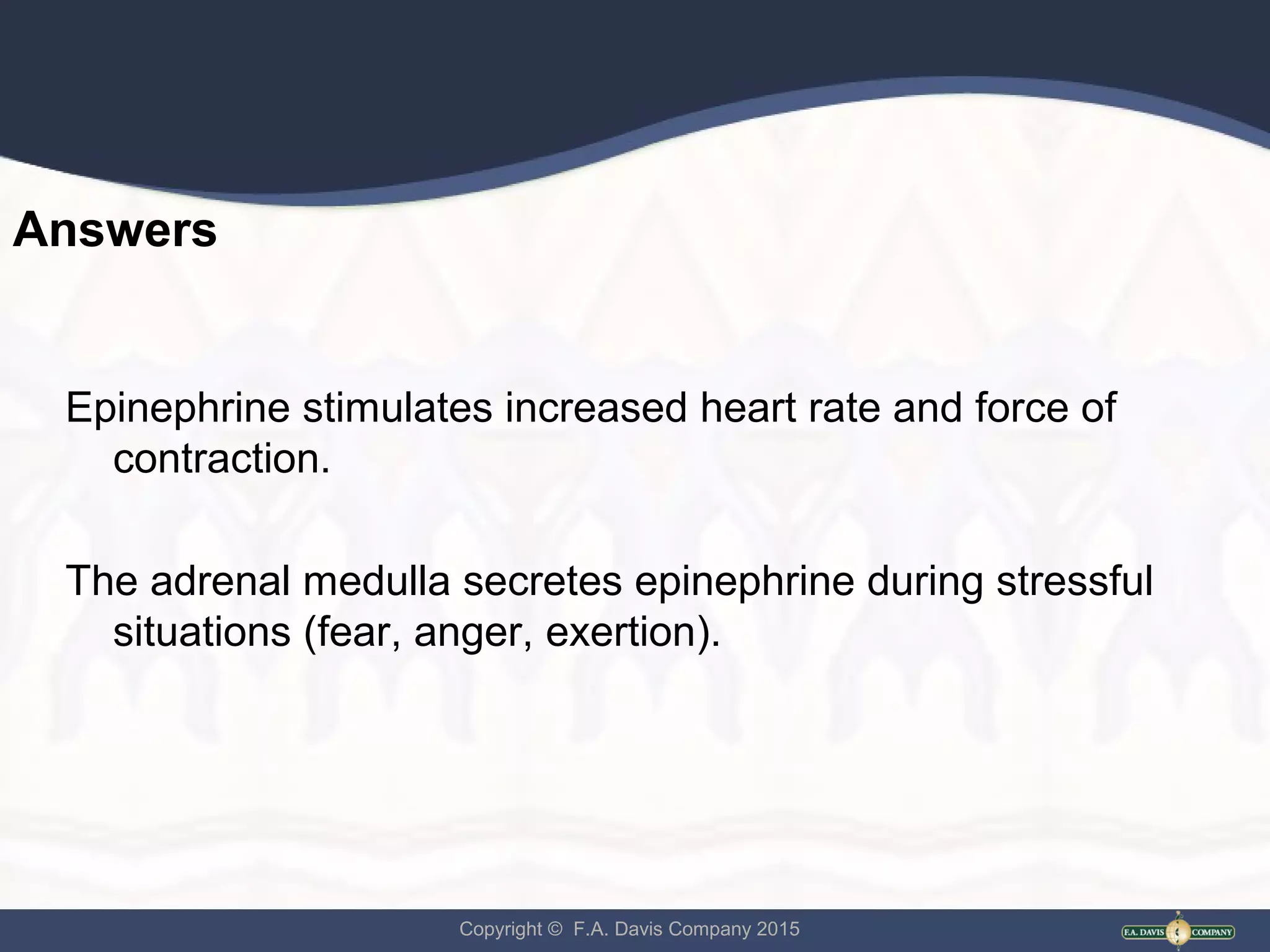 Ch12 - Heart | PPT