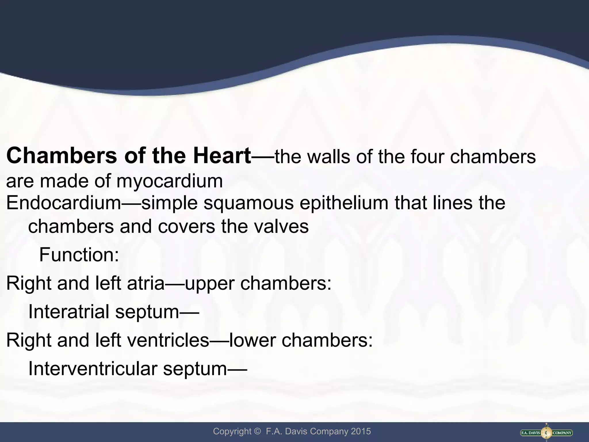 Ch12 - Heart | PPT