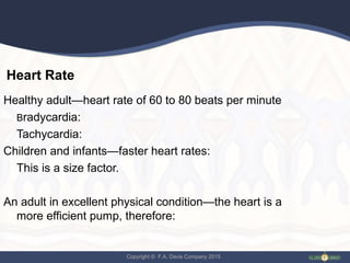 Ch12 - Heart | PPT