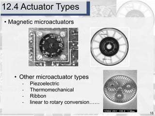 midtern_CH12.pptx | Physics | Science