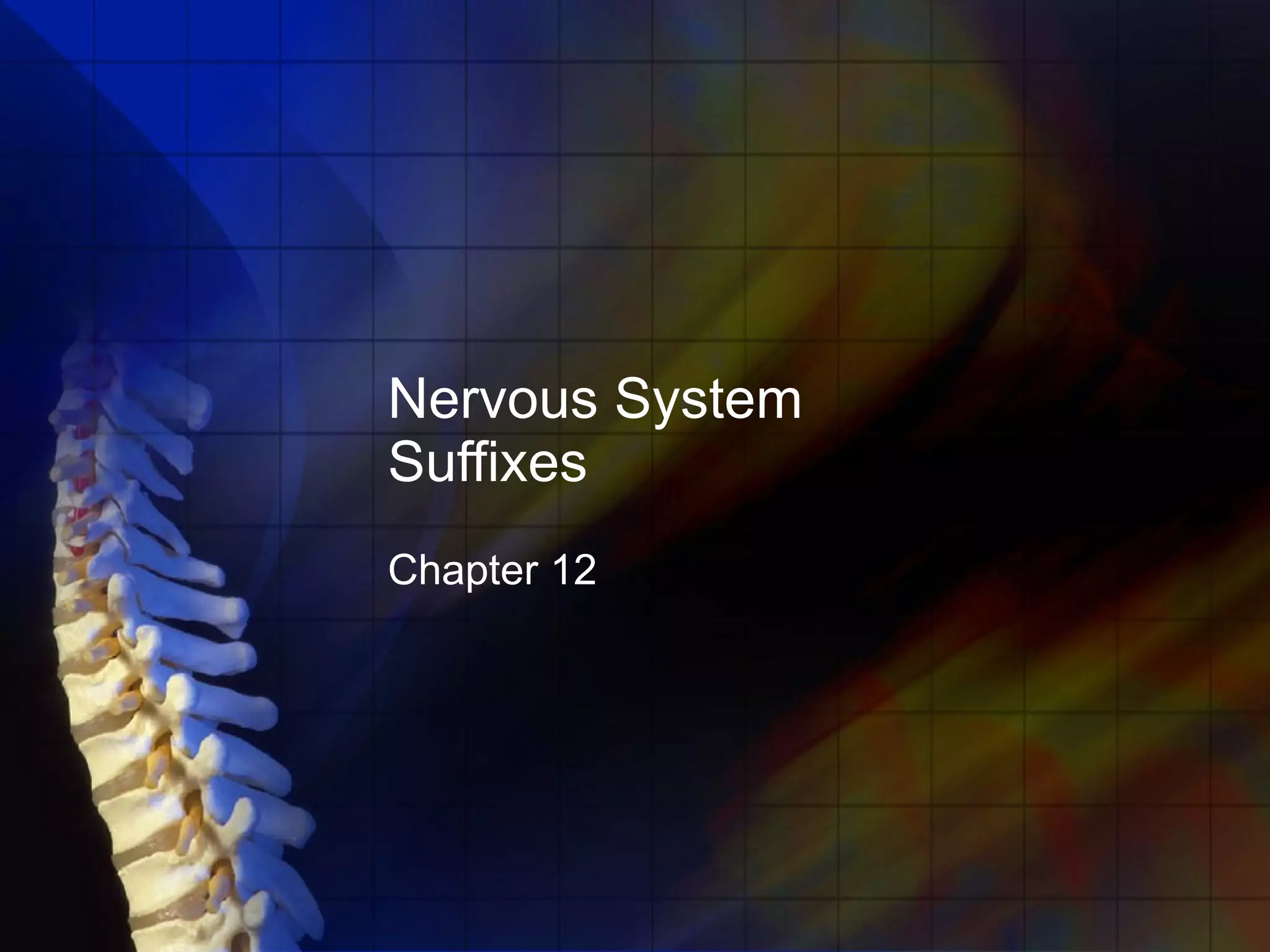 Ch 12 nervous system | PPT