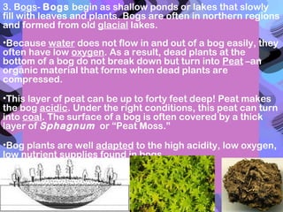 Ch12 2012 abbey | PPT