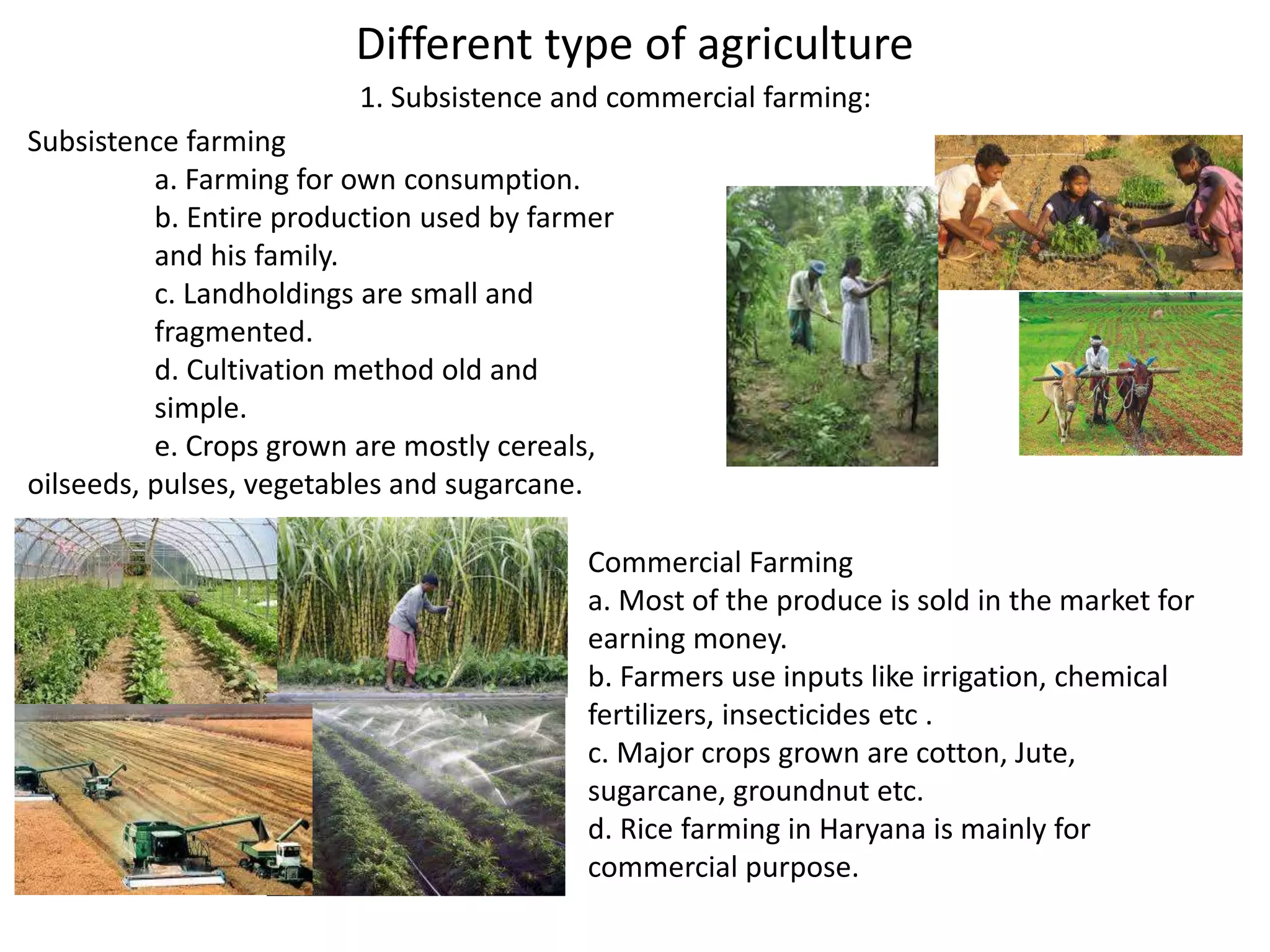 nios std x social science Ch 12 agriculture | PPTX