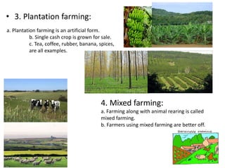 nios std x social science Ch 12 agriculture | PPTX