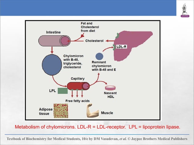 Ch 12 Cholesterols and lipoproteins.pptx