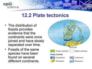 Ch12 earthandlifehistorysection2 | PPT