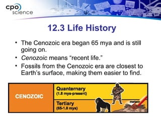Ch12 earthandlifehistorysection3 | PPT