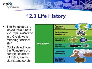 Ch12 earthandlifehistorysection3 | PPT