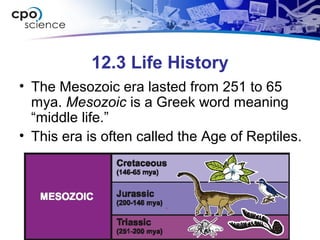 Ch12 earthandlifehistorysection3 | PPT