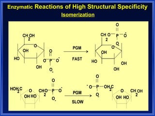 Ch12 enzymes can be taught | PPT