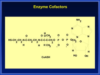 Ch12 enzymes can be taught | PPT