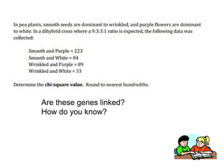 AP Biology Ch 12 gene linkage groups and chromosome maps | PPT